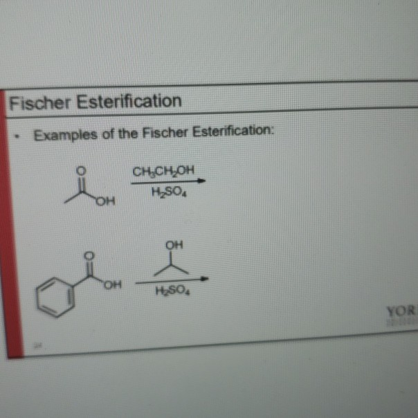 Solved Fischer Esterification Examples of the Fischer | Chegg.com