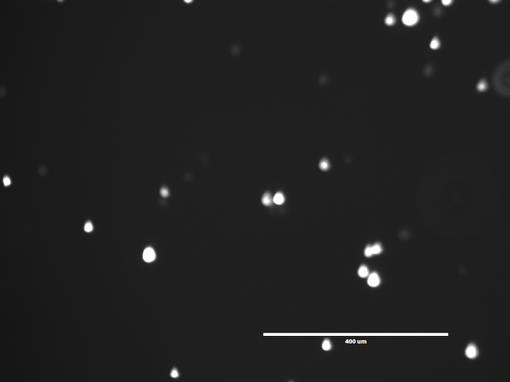 In one professional-quality figure with 4 panels, | Chegg.com