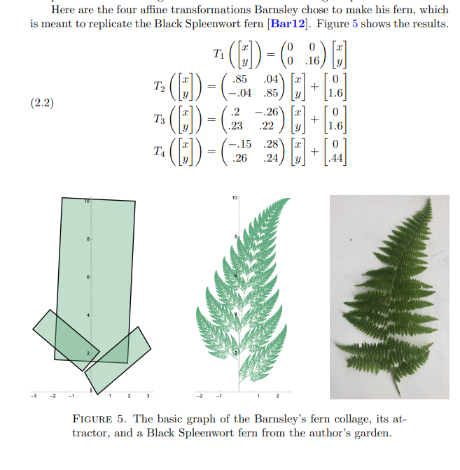 Determine the contraction factor for the collage | Chegg.com