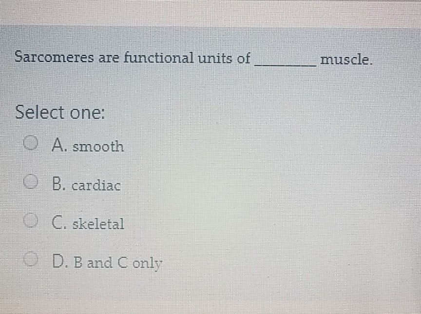 Solved Sarcomeres are functional units of muscle. Select | Chegg.com