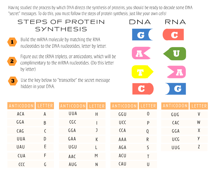 DNA is the blueprint of life. Your genetic code | Chegg.com