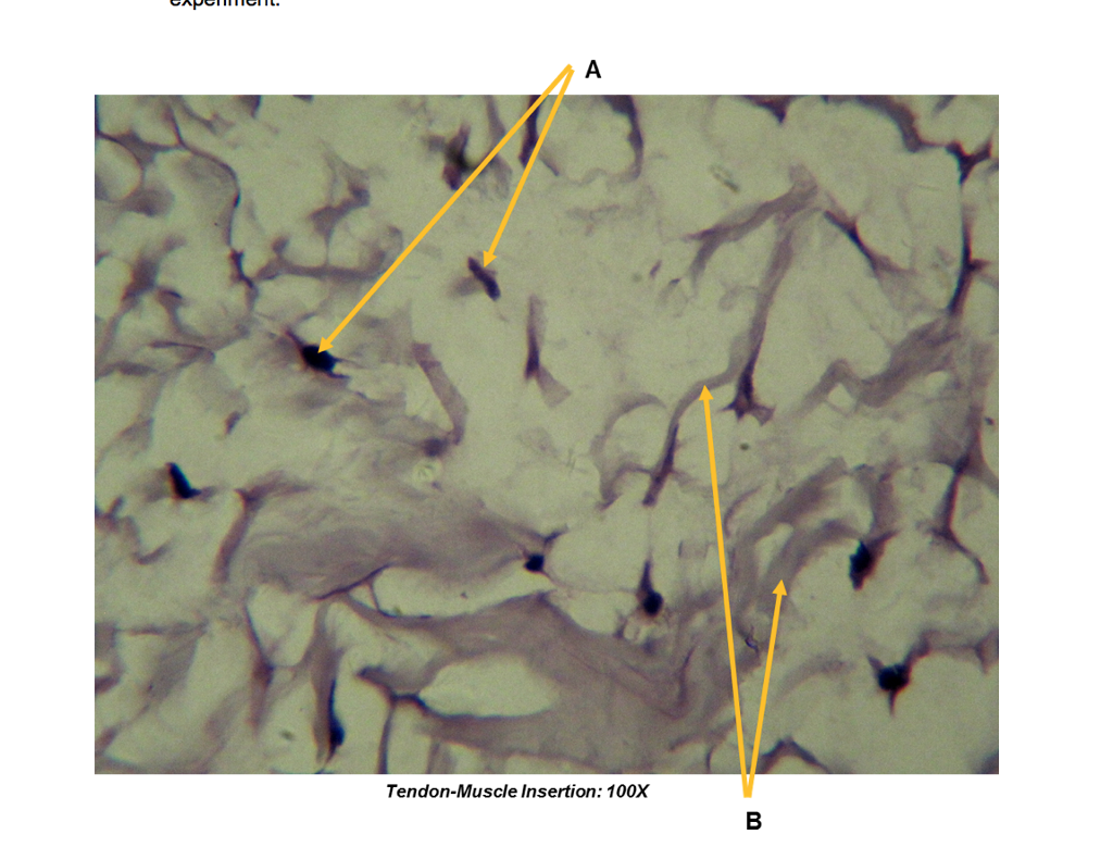 Solved 3. Identify the components in the slide image below | Chegg.com