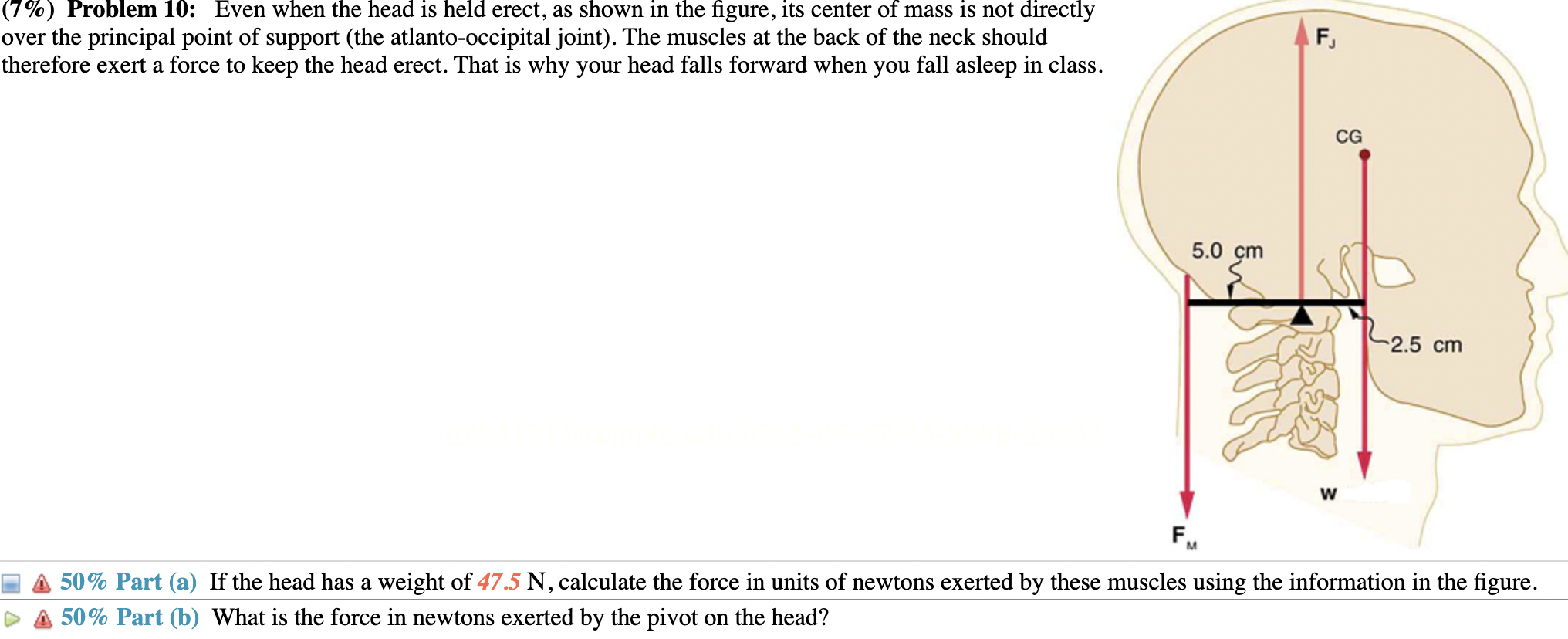 Solved (7%) Problem 10: Even when the head is held erect, as | Chegg.com