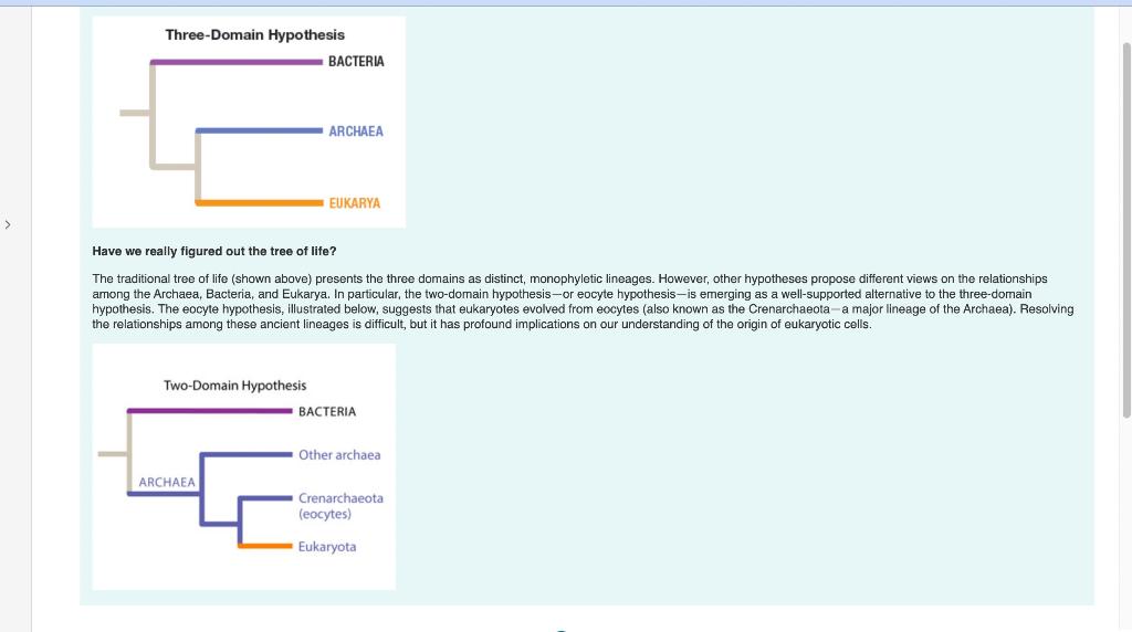 Solved Please advise which selection is the correct answer | Chegg.com