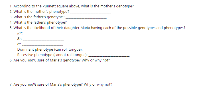 Solved EXERCISE 3 INTERPRETING PUNNETT SQUARES Work in a | Chegg.com