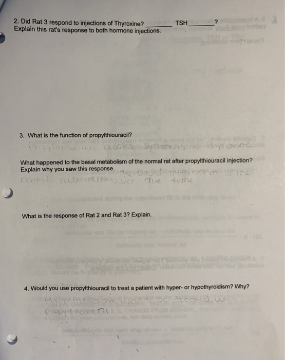 Solved Endocrine lab with rats .. effects of hormones on | Chegg.com