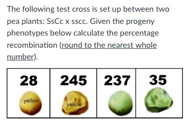 Solved The following test cross is set up between two pea | Chegg.com