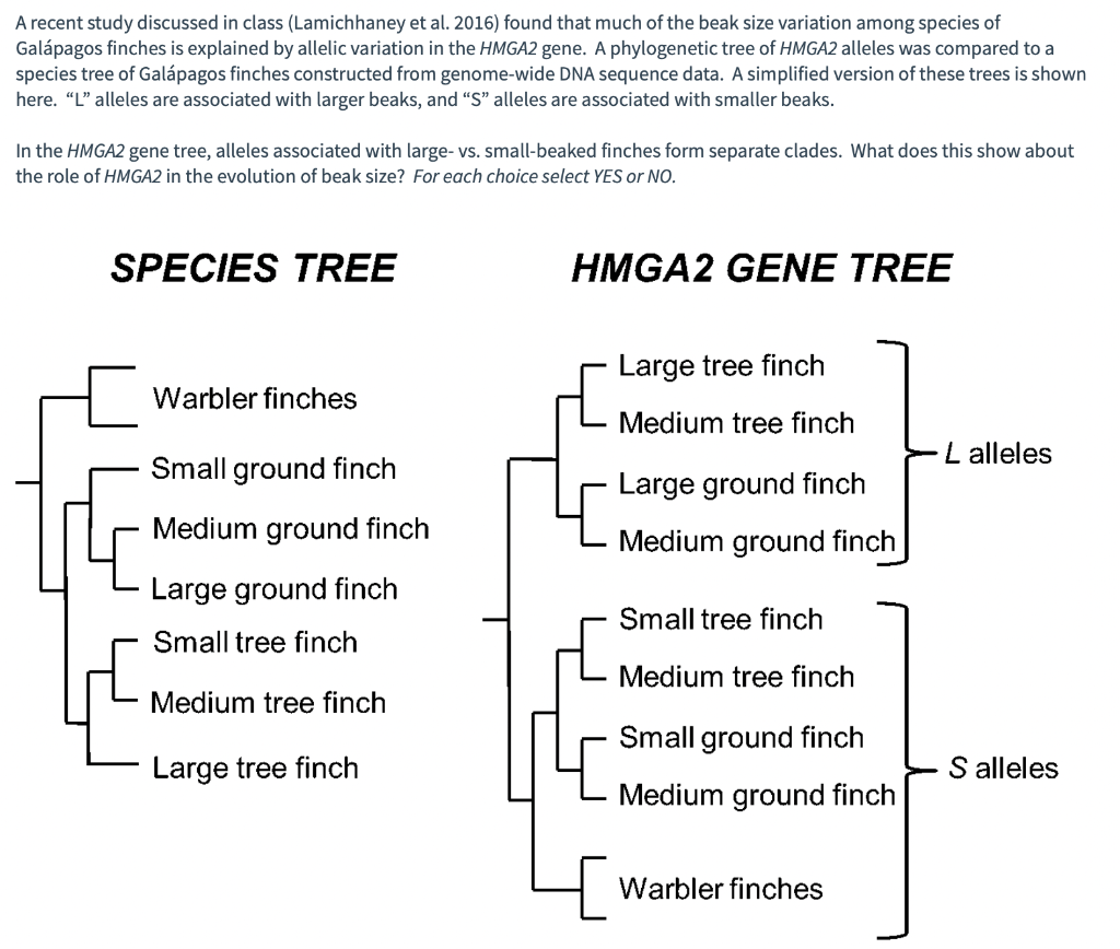 Solved “L” and “S” alleles were present as standing | Chegg.com