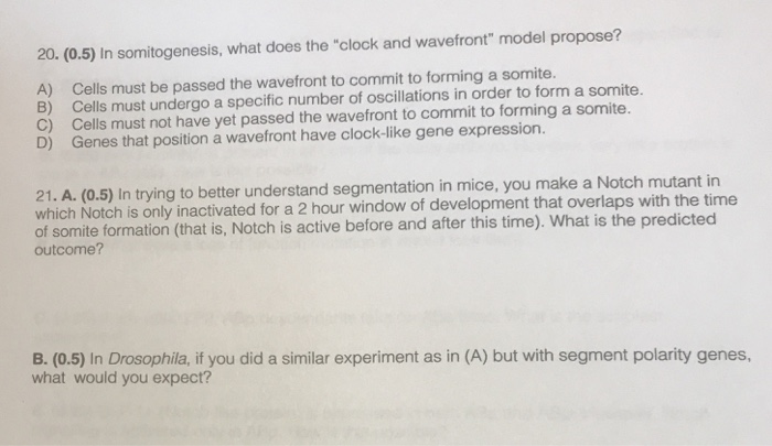 Solved 20. (0.5) In somitogenesis, what does the "clock and | Chegg.com
