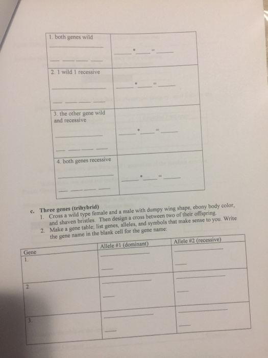 Solved LABORATORY NOTEBOOK QUESTIONS Students should work | Chegg.com