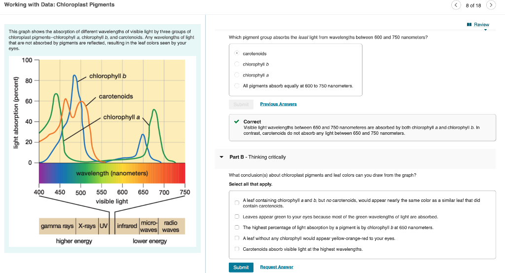 Solved Working with Data: Chloroplast Pigments 8 of 18 > I | Chegg.com