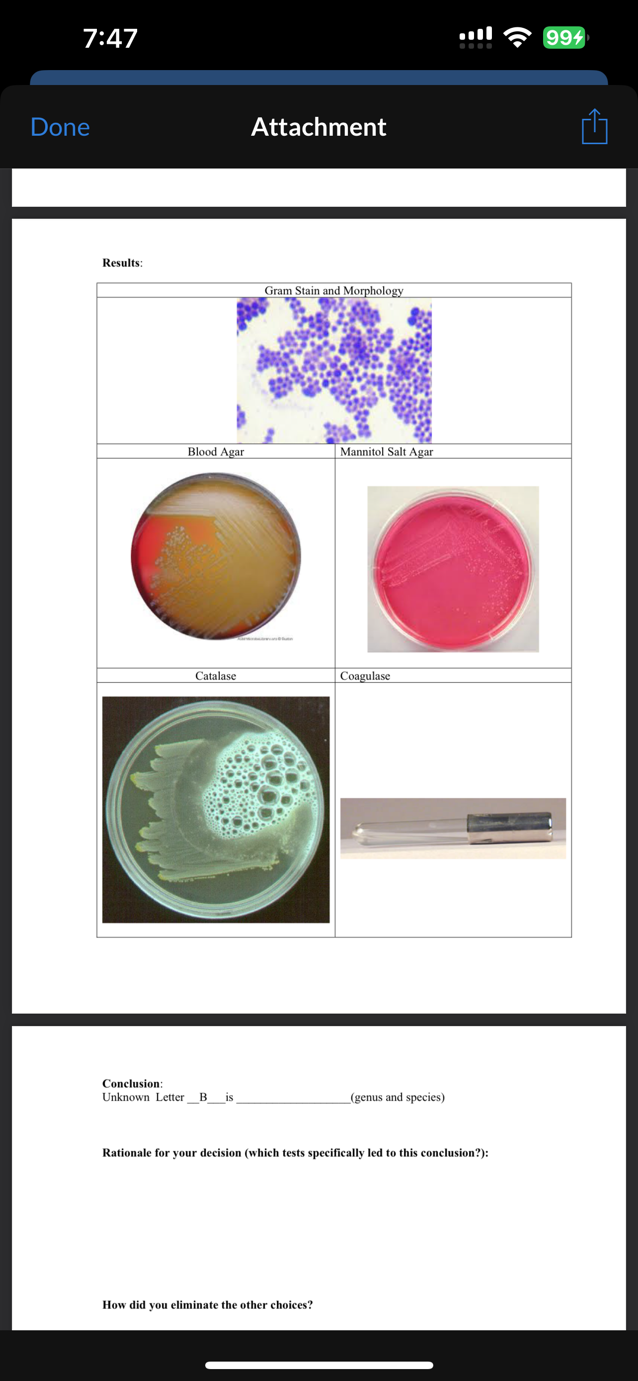 Solved Lab result A is- Options include staphylococcus | Chegg.com
