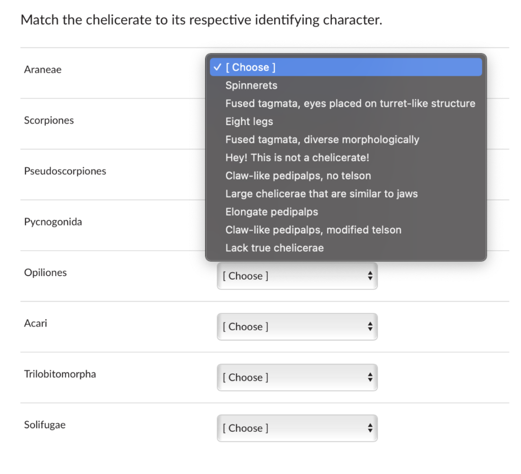 Solved Match the chelicerate to its respective identifying | Chegg.com