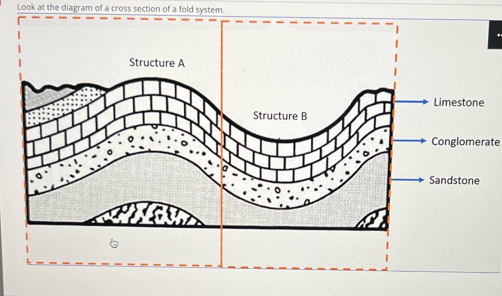 Solved Look at the diagram of a cross section of a fold | Chegg.com