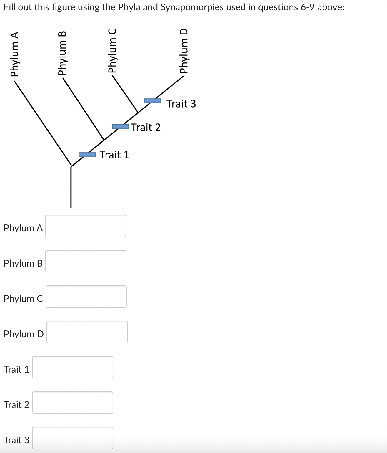 Fill out this figure using the Phyla and | Chegg.com