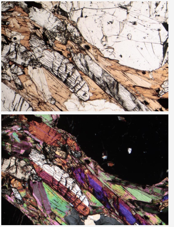 Solved In the thin sections (PPL and XPL), respectively for | Chegg.com