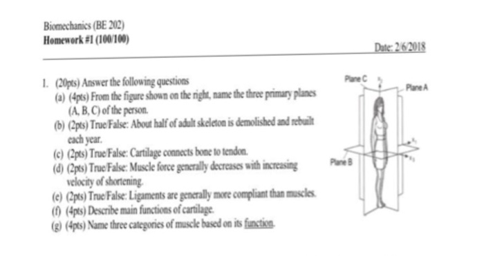 Solved Biomechanics (BE 202) Homework #1 ( 100 100) (20pts) | Chegg.com