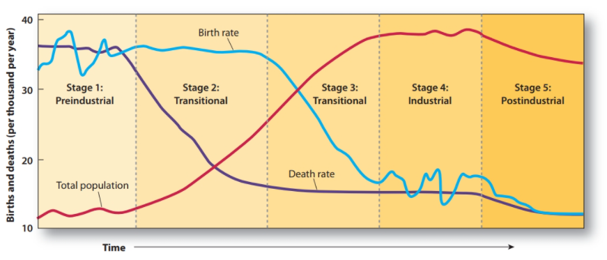 Analyze the Demographic Transition Model . (pg | Chegg.com