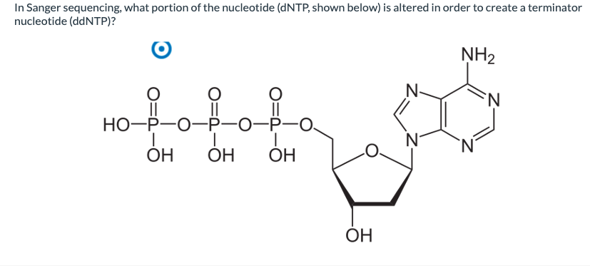 Solved In Sanger sequencing, what portion of the nucleotide | Chegg.com
