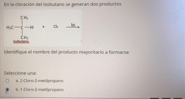 Solved En la cloración del isobutano se generan dos | Chegg.com