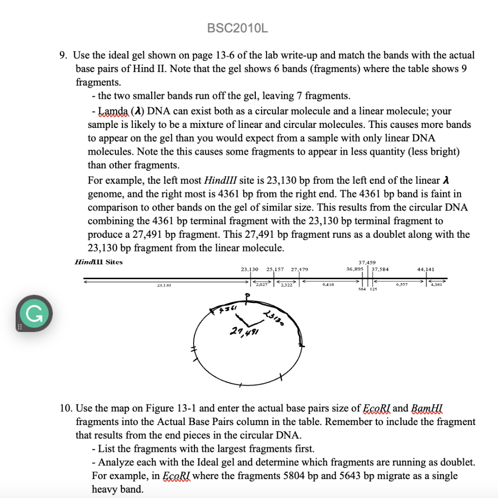 Solved J11! 11 I III! II III8. The following table shows the | Chegg.com