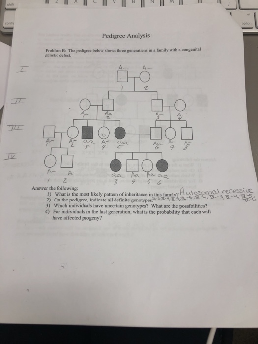 Solved Pedigree Analysis Problem B: The pedigree below shows | Chegg.com