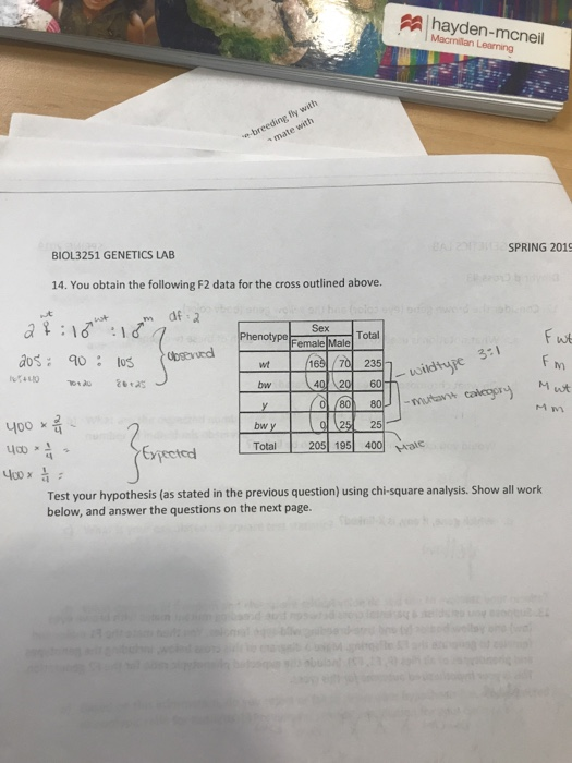 hayden-mcneil Macrmilan Lean SPRING 2019 BiOL3251 | Chegg.com