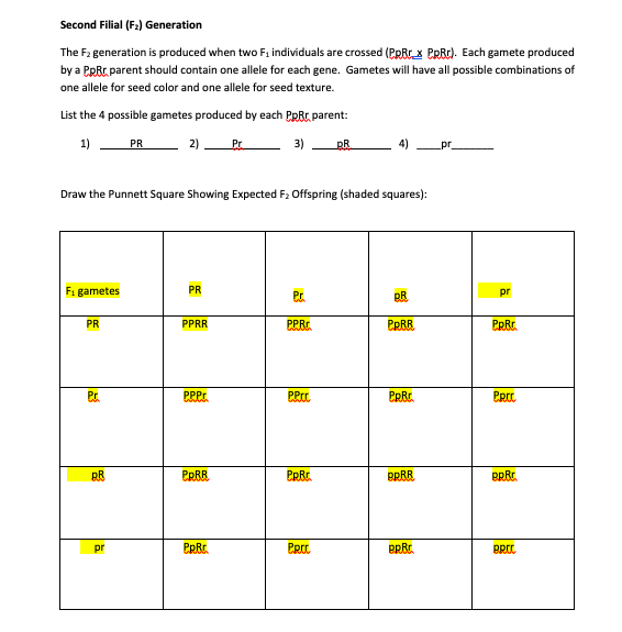 Solved Second Filial (F2) Generation The Fa generation is | Chegg.com
