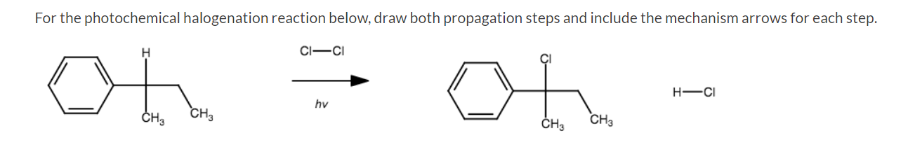 Solved For the photochemical halogenation reaction below, | Chegg.com