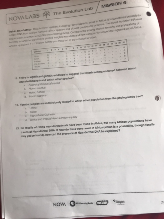 MISSION 6 NOVA LA3S The Evolution Lab Inside out of | Chegg.com