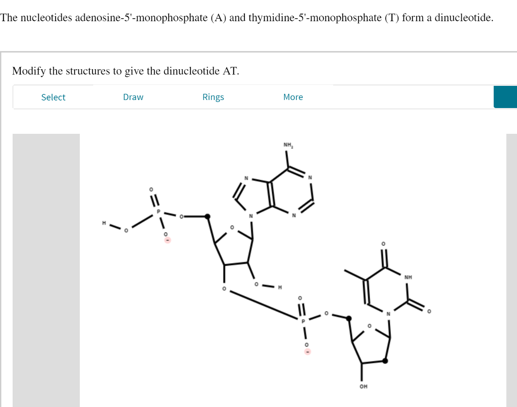 Solved The nucleotides adenosine-5'-monophosphate (A) and | Chegg.com