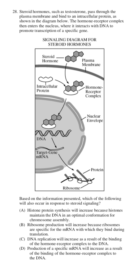 Solved 28. Steroid hormones, such as testosterone, pass | Chegg.com