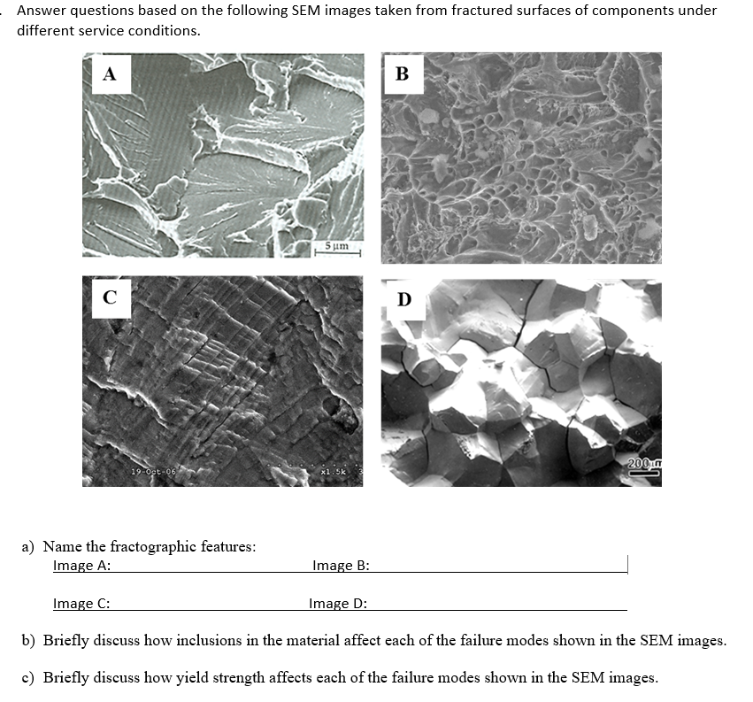 Solved Answer questions based on the following SEM images | Chegg.com