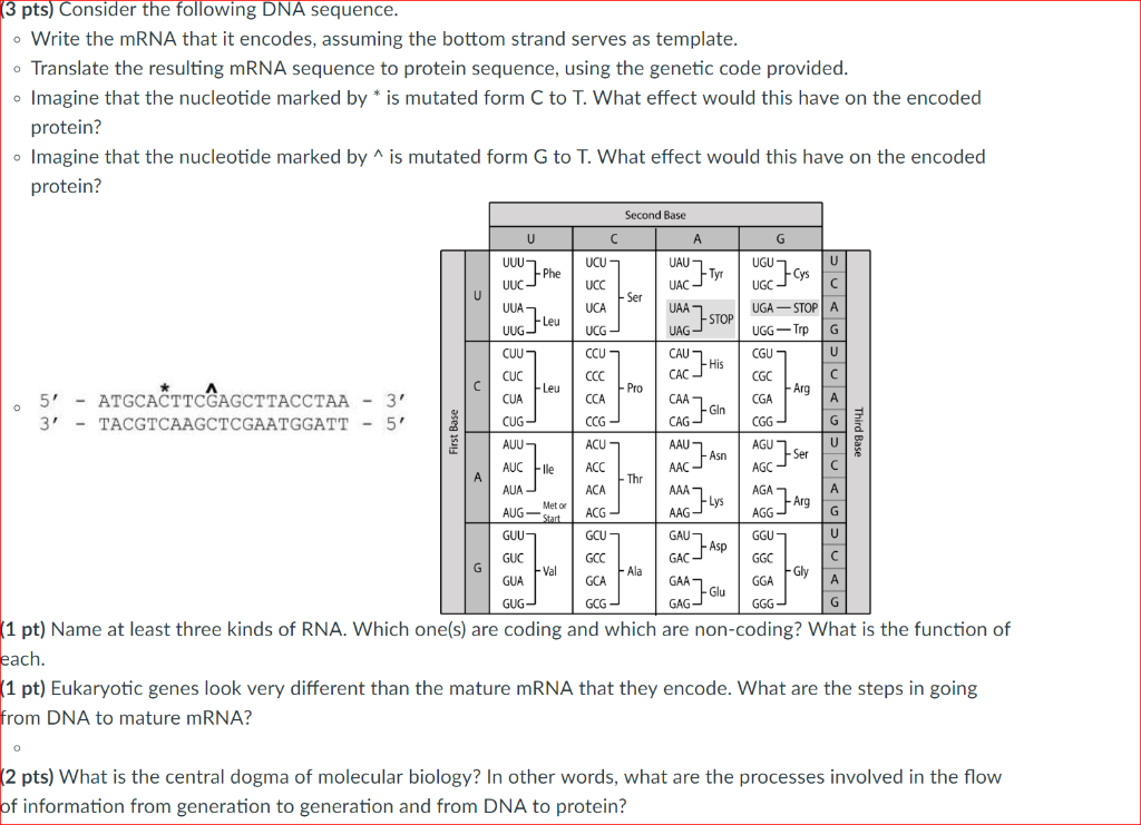 Solved 3 Pts Consider The Following Dna Sequence O Write 