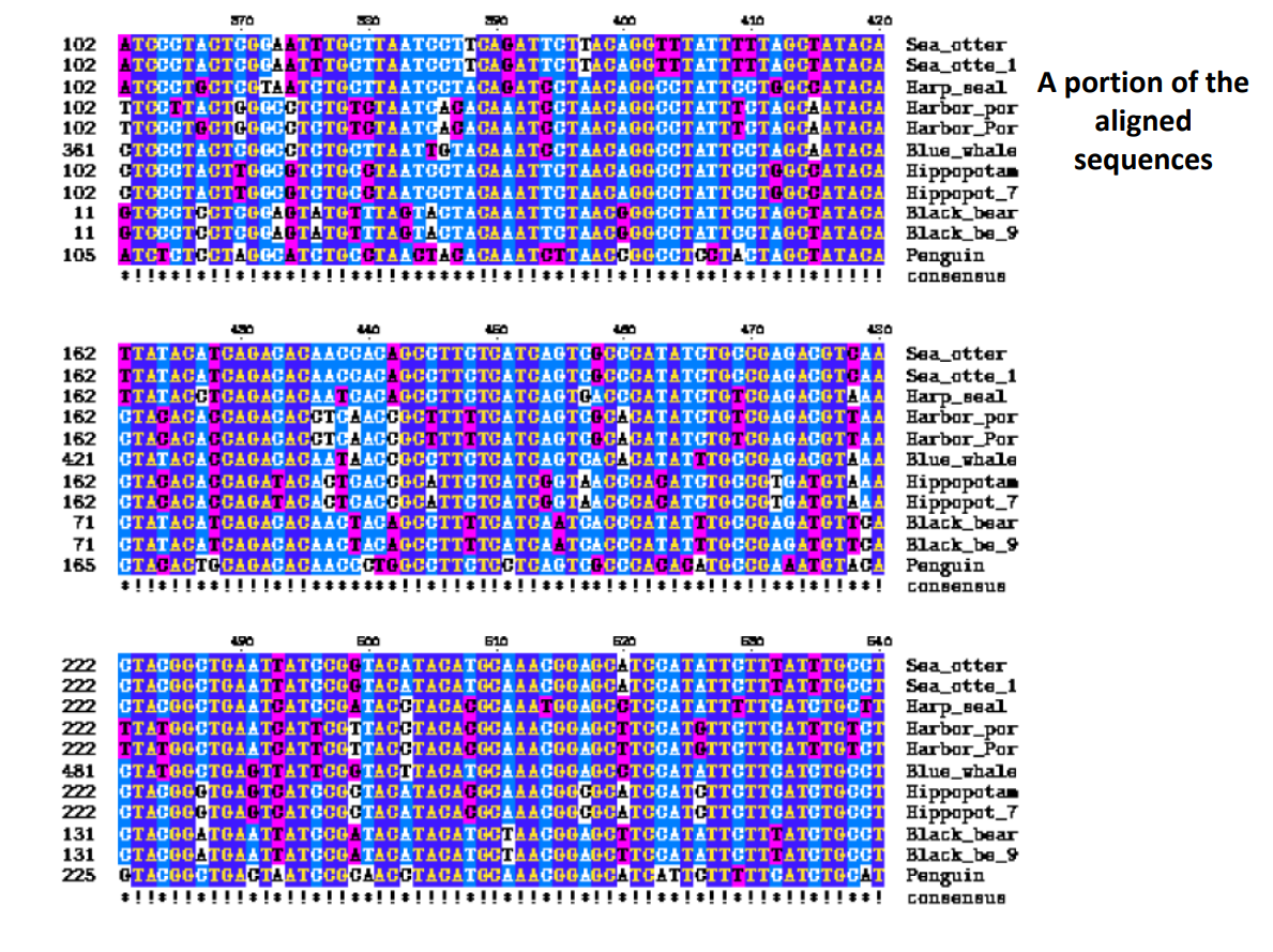 Solved Two related species start with similar DNA, but | Chegg.com