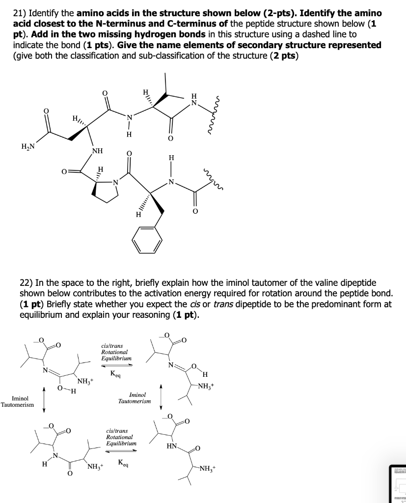 Solved 21) Identify the amino acids in the structure shown | Chegg.com