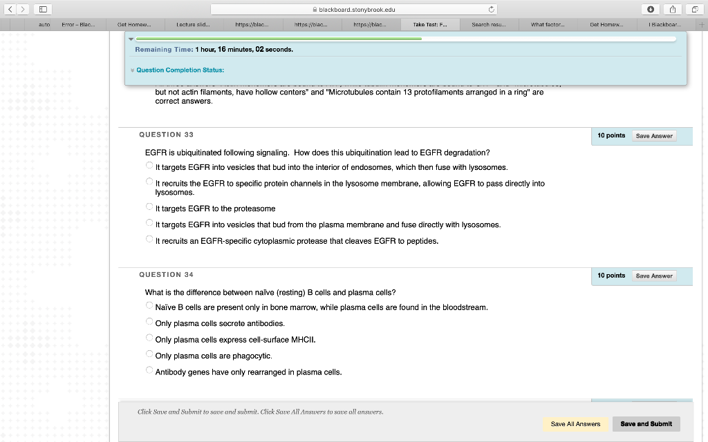 Solved i blackboard.stonybrook.edu auto Error - Blac.. Giet | Chegg.com