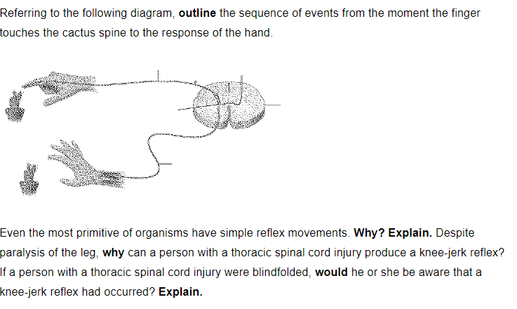 Solved Referring to the following diagram, outline the | Chegg.com