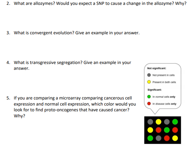 Solved 2. What are allozymes? Would you expect a SNP to | Chegg.com