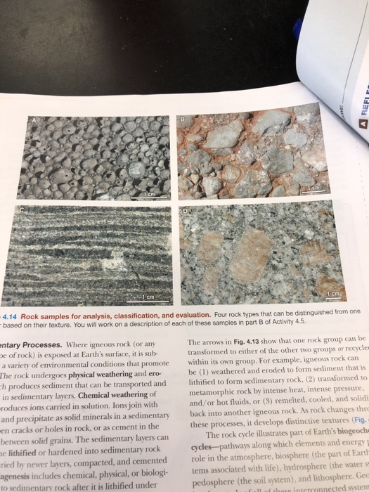 Solved Fig 4.14 has photographs of four rocks labeled a | Chegg.com