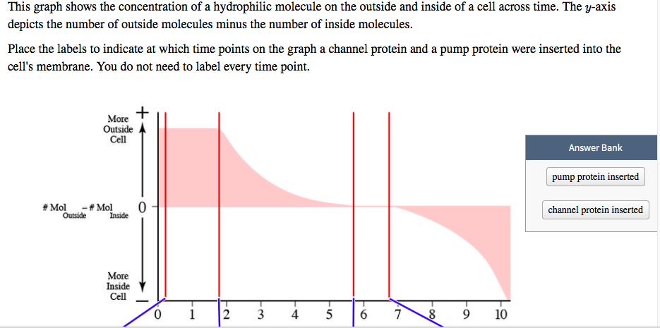 Solved This graph shows the concentration of a hydrophilic | Chegg.com
