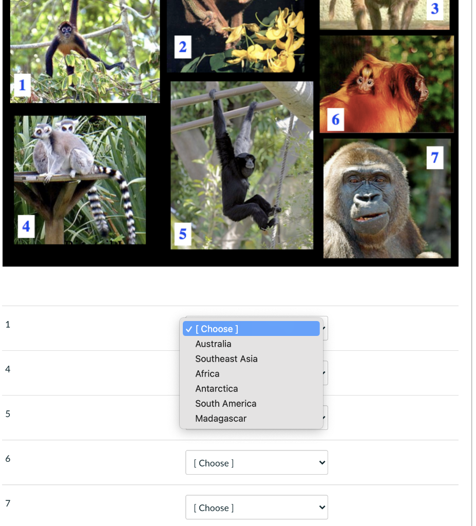 Solved 3 09 2 | 1 7 5 MIXTO 1 4 [Choose ] Australia | Chegg.com