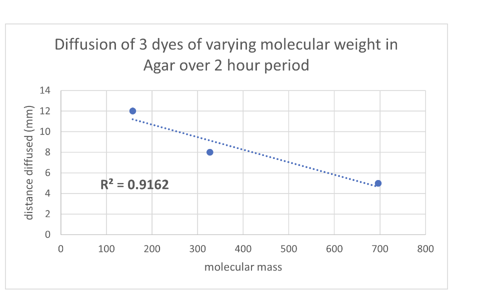 Solved The distance that they diffused in agar is shown as | Chegg.com