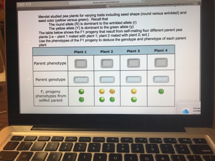 Solved Mendel studied pea plants for varying traits | Chegg.com