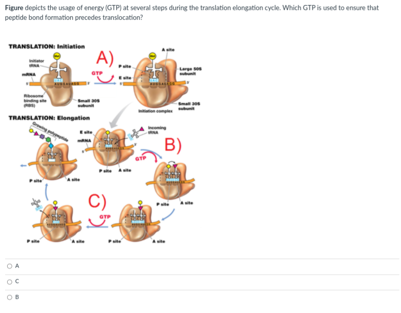 Solved Figure shows an interrupted conjugation experiment. | Chegg.com