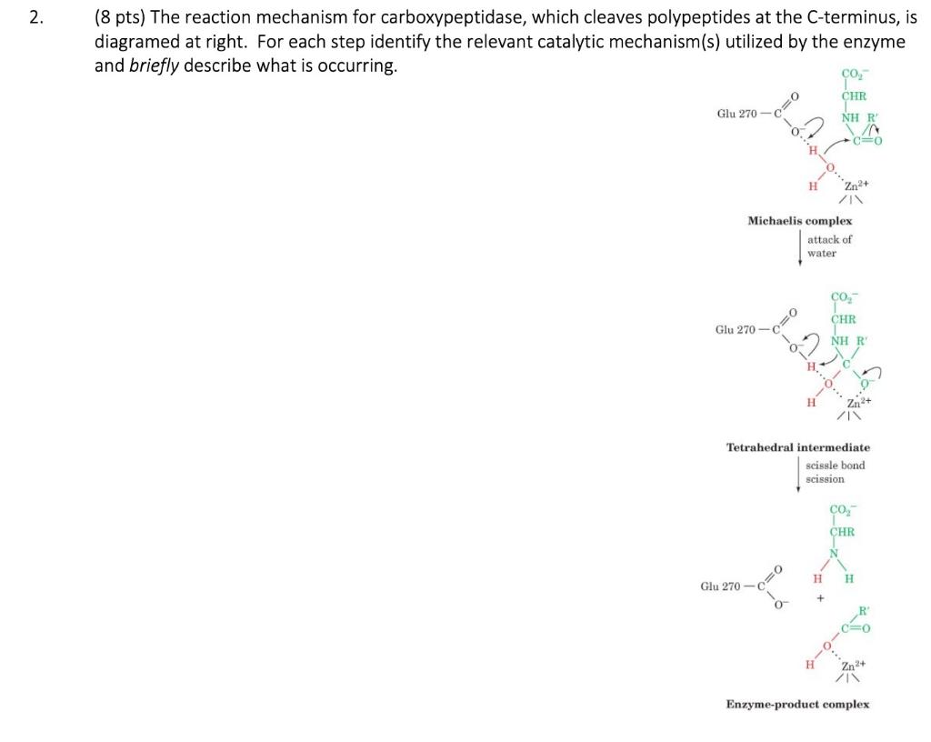 Solved Glu 270-20 2. (8 pts) The reaction mechanism for | Chegg.com