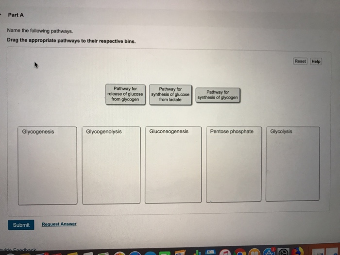 Solved Part A Name the following pathways. Drag the | Chegg.com