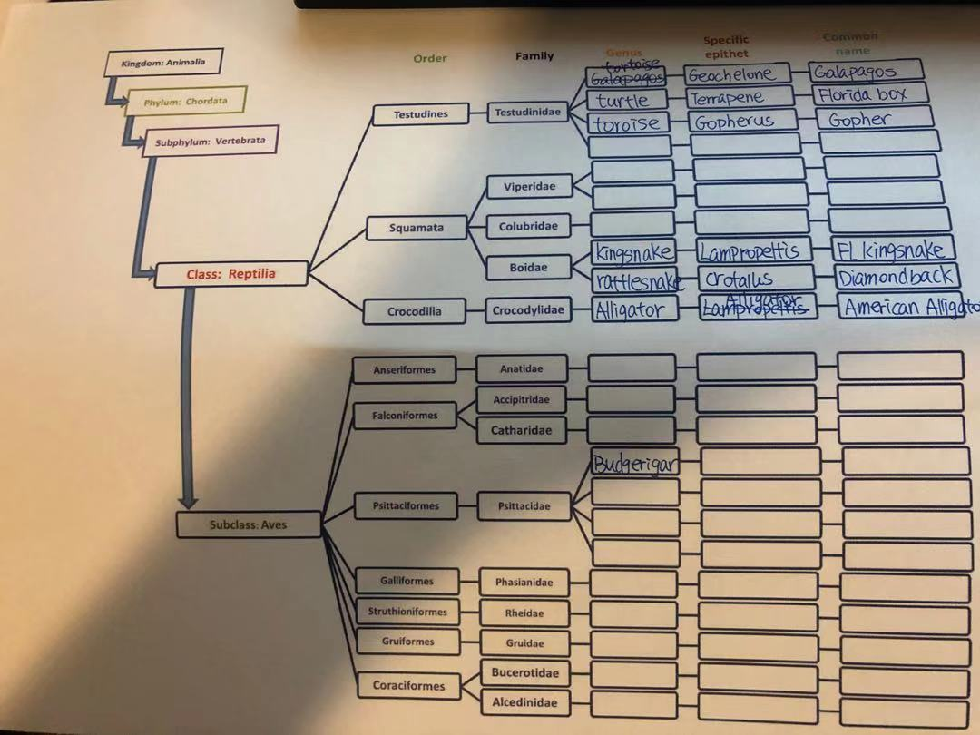 Solved Common name Specific epithet Genus fortaise Gatapages | Chegg.com