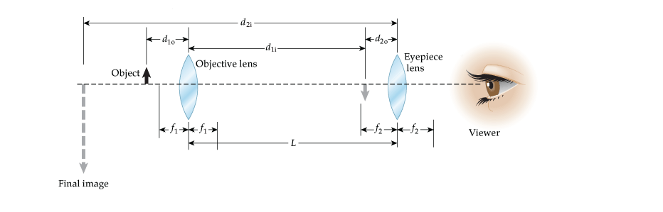 Solved Objective lens Eyepiece lens Object - - - - - 2-** | Chegg.com