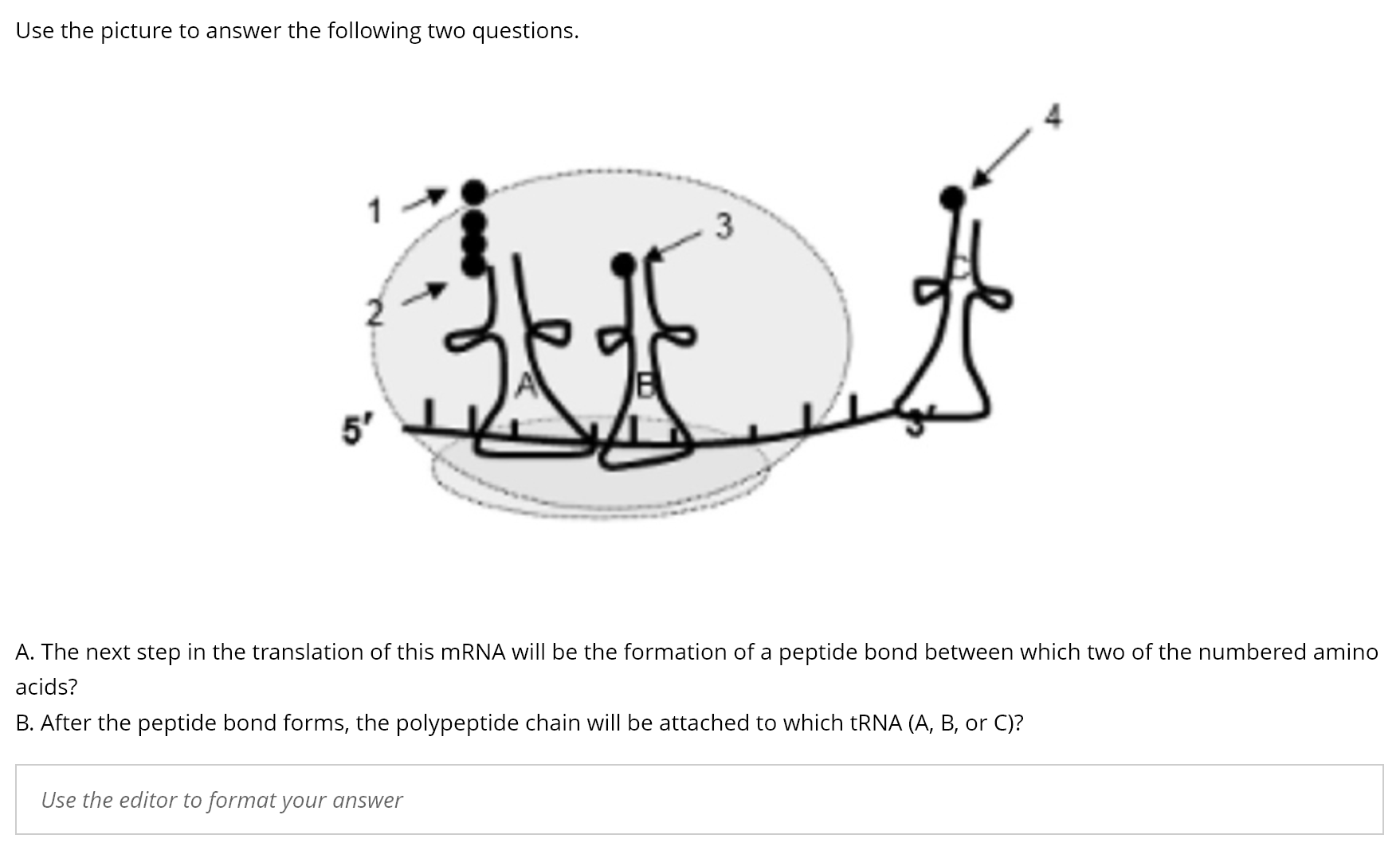 Solved Use the picture to answer the following two | Chegg.com